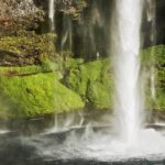 Reykjavik: South Coast, Diamond Beach, and Jökulsárlón Tour - Authentic Experiences and Traveler Insights