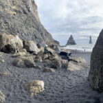 Reykjavik: South Coast Private Tour - An In-Depth Look at the Tour Experience