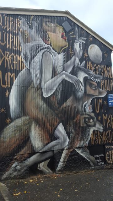 Reykjavik Street Art & Photo Friendly Walking Tour - Who Should Take This Tour?