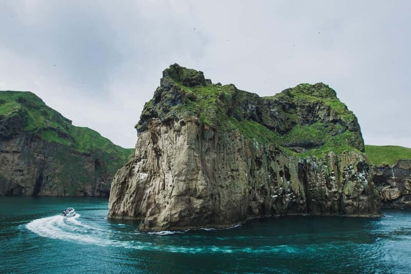 Reykjavik - Westman Islands (Bus transfer to Landeyjahöfn) - The Experience: Why Its Worth It