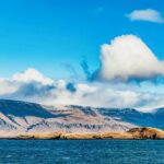 Reykjavík: Whale Watching and Marine Life Cruise - Who Would Enjoy This Tour?