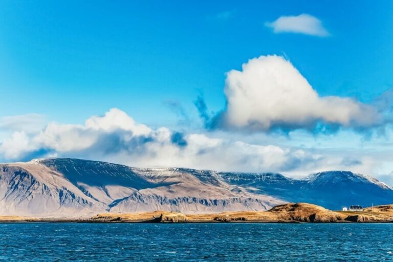 Reykjavík: Whale Watching and Marine Life Cruise - Who Would Enjoy This Tour?