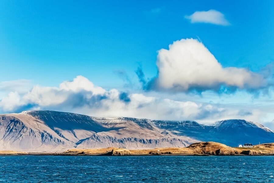Reykjavík: Whale Watching and Marine Life Cruise - Who Would Enjoy This Tour?