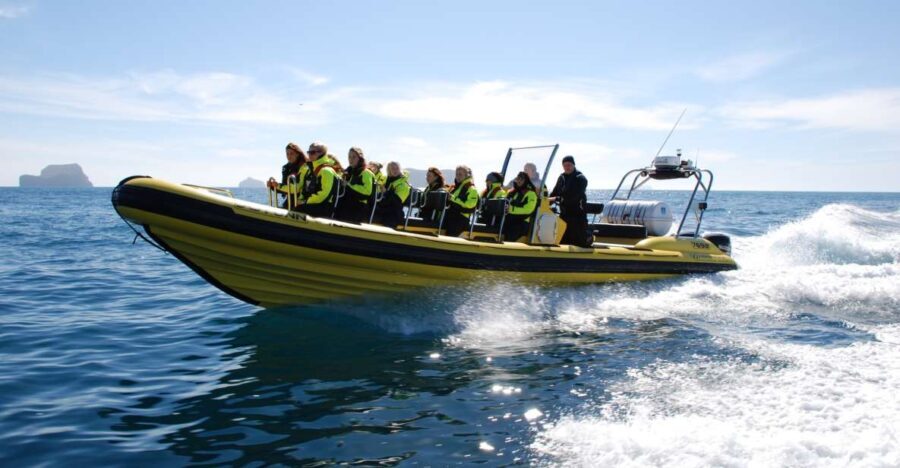 Reykjavik: Whale Watching by RIB Speedboat - Cost-Effectiveness and Value