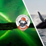 Reykjavik: Whale Watching & Northern Lights Combo Cruise - Why This Tour Offers Good Value