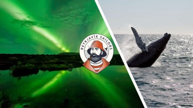 Reykjavik: Whale Watching & Northern Lights Combo Cruise - Why This Tour Offers Good Value