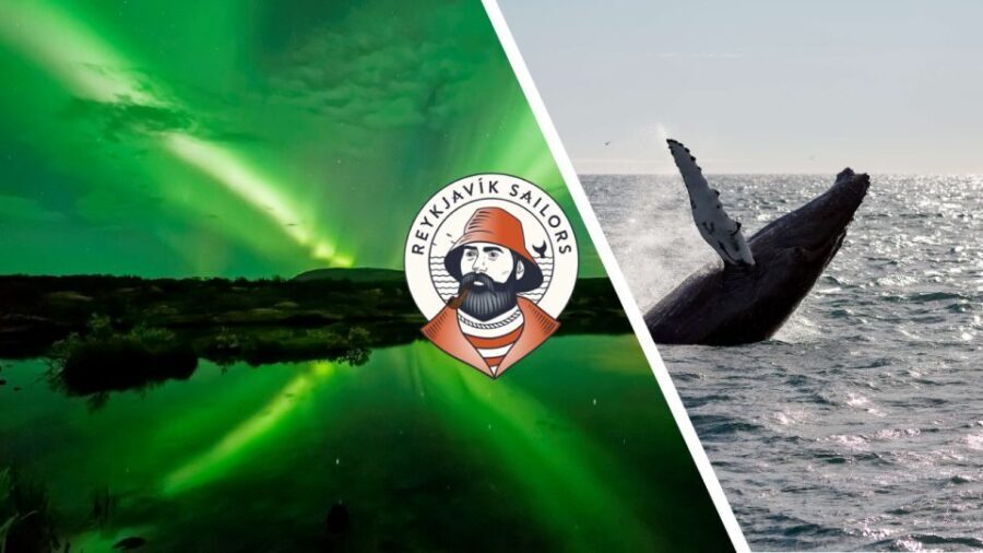 Reykjavik: Whale Watching & Northern Lights Combo Cruise - Why This Tour Offers Good Value