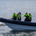 Reykjavik: Whale Watching Tour by RIB Boat - What to Expect During the Tour
