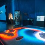 Reykjavik: Whales of Iceland Museum Entrance Ticket - What to Expect at the Whales of Iceland Museum