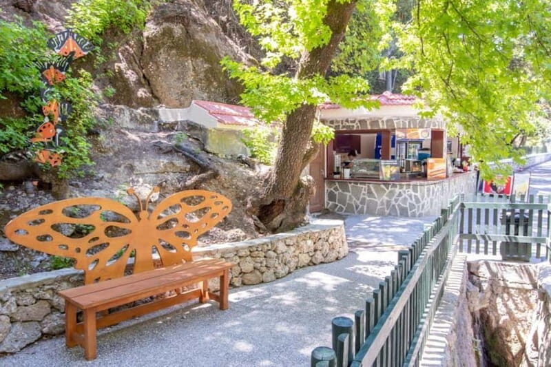 Rhodes: Butterfly Valley and Filerimos Hill Bus Trip - Who Should Consider This Tour?