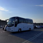 Rhodes: Butterfly Valley Half-Day Bus Trip - The Natural Beauty of Butterfly Valley