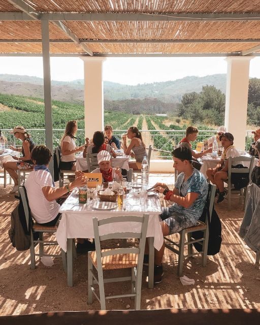 Rhodes City Tour, Cooking Class & Wine Tasting - From City Streets to Vineyards