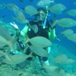 Rhodes: Diving Adventure for Beginners and Experts - Detailed Itinerary Breakdown