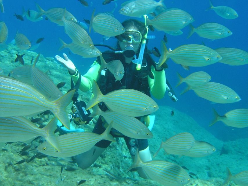Rhodes: Diving Adventure for Beginners and Experts - Detailed Itinerary Breakdown