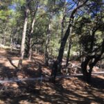 Rhodes: Full-Day 4WD Northern Safari Tour - What Travelers Are Saying