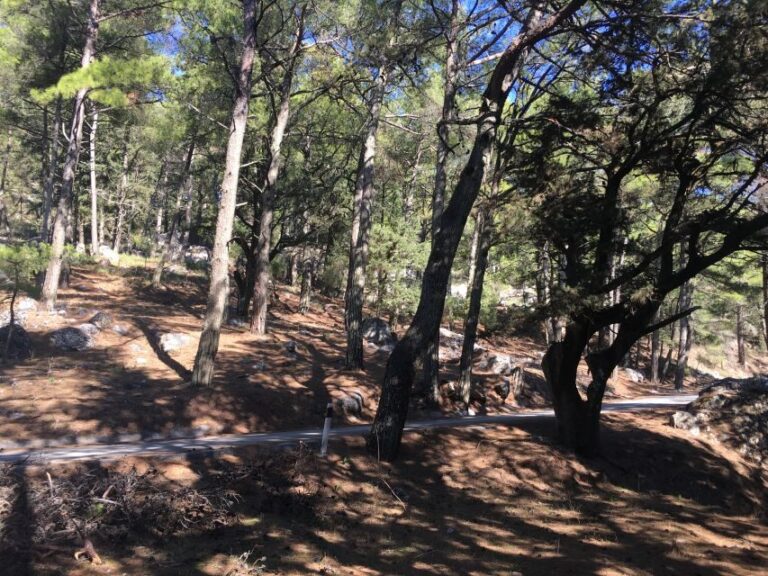 Rhodes: Full-Day 4WD Northern Safari Tour - What Travelers Are Saying