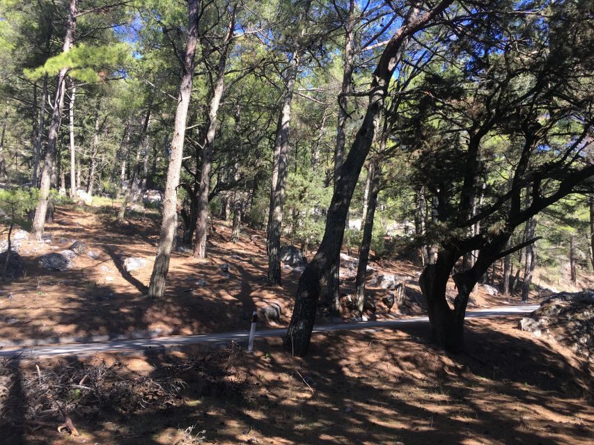 Rhodes: Full-Day 4WD Northern Safari Tour - What Travelers Are Saying