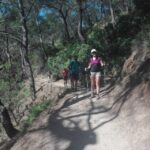 Rhodes: Guided Hike to 7 springs from Archangelos - What’s Included and How It Adds Value