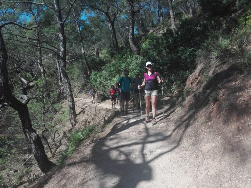 Rhodes: Guided Hike to 7 springs from Archangelos - What’s Included and How It Adds Value
