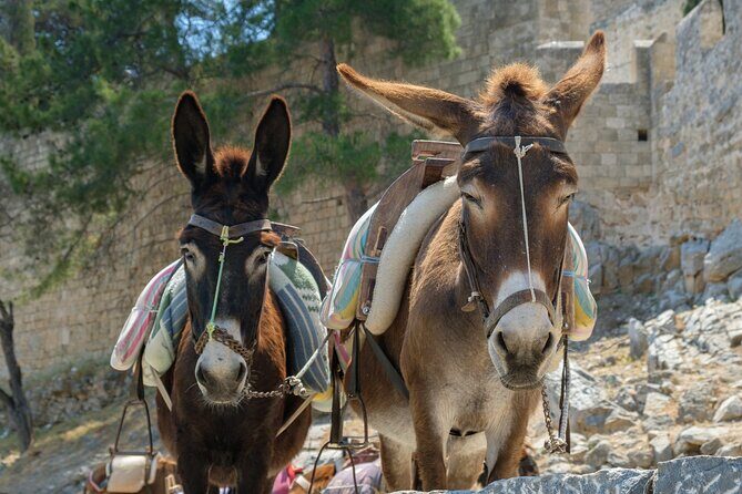 Rhodes Hidden Gems: Self-Drive Offroad Expedition - Frequently Asked Questions