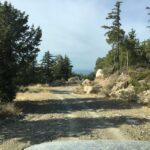 Rhodes North Safari: Hidden Paths & Scenic Flavors - The Value of the Tour