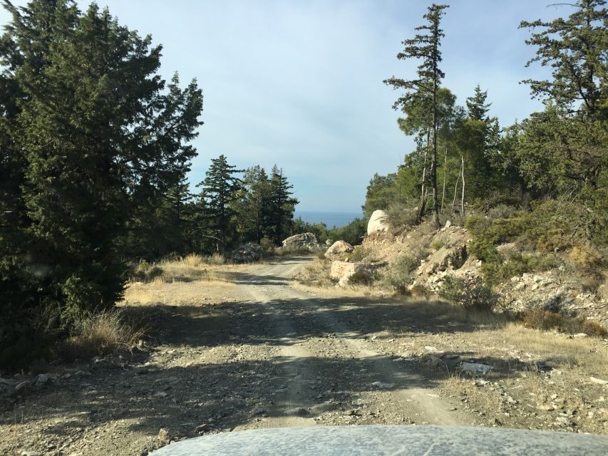 Rhodes North Safari: Hidden Paths & Scenic Flavors - The Value of the Tour