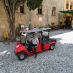 Rhodes: Old Town Highlights Guided Tour by Eco Vehicle - Who Will Love This Tour?