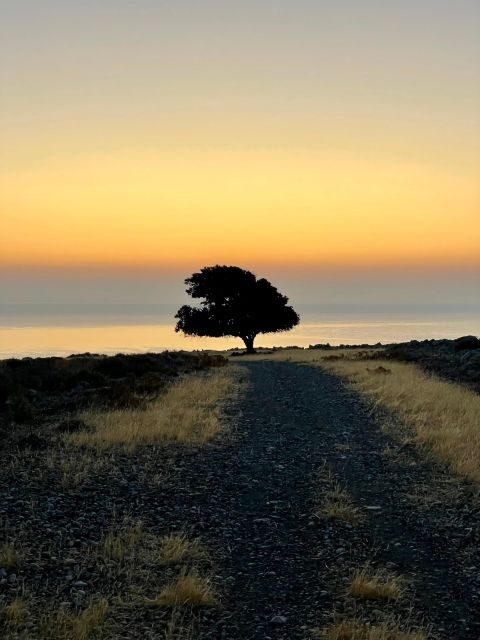 Rhodes: Pefkos-Navarone Bay, the magic of sunrise - What Makes This Tour Stand Out?