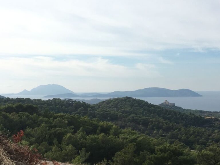 Rhodes South Safari: Mountains & Local Flavors - Final Thoughts