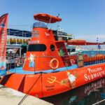 Rhodes Town: Submarine Cruise with Underwater Views - A Detailed Breakdown of the Itinerary and Experience