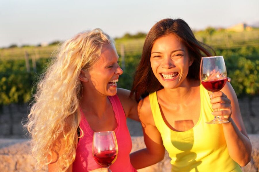 Rhodes: Winery Tour and Tasting Experience - What to Expect from the Tour