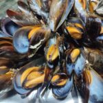 Ría de Arousa: Boat Ride to Mussel Farm with Tasting - The Cultivation Parks and the Underwater View