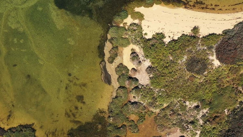Ria Formosa: Armona and Culatra Islands 3-Hour Boat Tour - The Value of a Short but Rich Experience