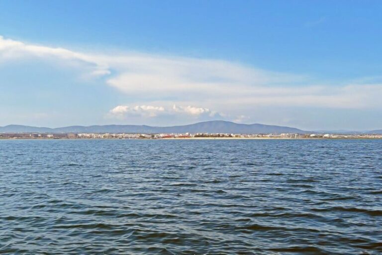 Ria Formosa: Sightseeing boat Tour from Olhão - Why This Tour Works (And Who It’s For)