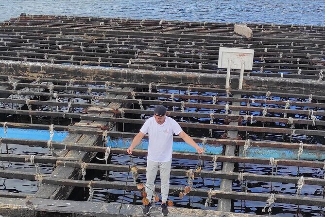 Rias Baixas PRIVATE Shore tour - Authentic Experiences and Some Traveler Insights