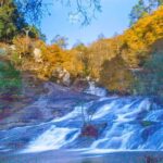 Rías Baixas Private Tour from Santiago de Compostela - What Travelers Say