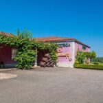 Rías Baixas Private Tour with Wine Tasing, Food, Mussels Boat and Pickup - FAQ
