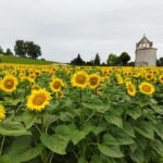 Ribagnac: Nico's gourmet hike - Who Should Consider This Tour?