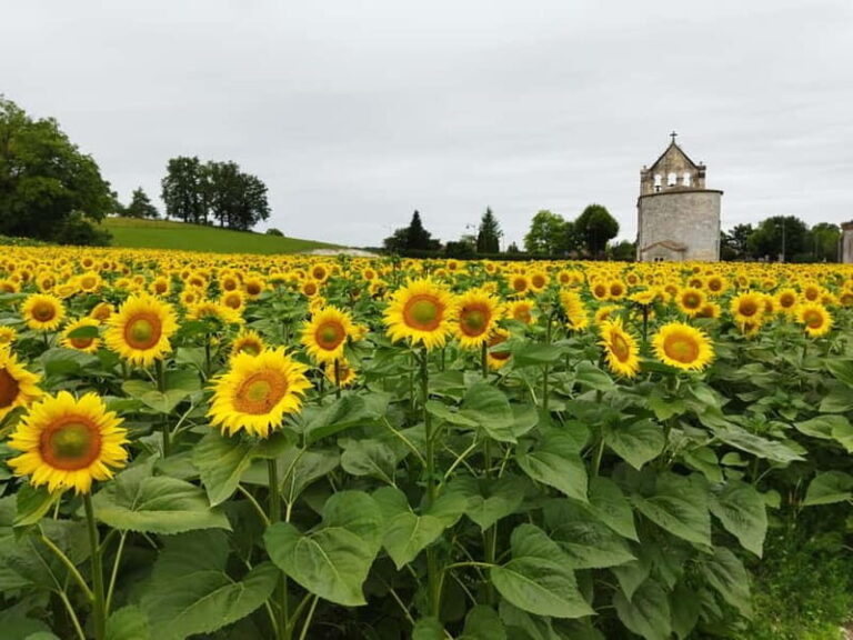 Ribagnac: Nico's gourmet hike - Who Should Consider This Tour?