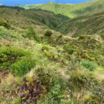 Ribeira Grande: Salto do Cabrito Hike, Culture & Picnic - An In-Depth Look at This Full-Day Adventure