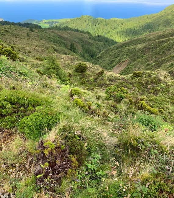 Ribeira Grande: Salto do Cabrito Hike, Culture & Picnic - An In-Depth Look at This Full-Day Adventure