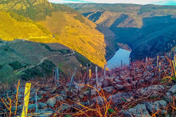 Ribeira Sacra, "Heroic Wines" Private Tour from Santiago - The Landscape of Ribeira Sacra: Visual and Cultural Context