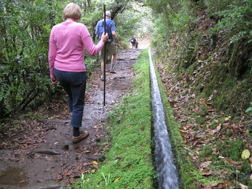 Ribeiro Frio / Portela - Levada Walk - The Practical Side: What You Need to Know