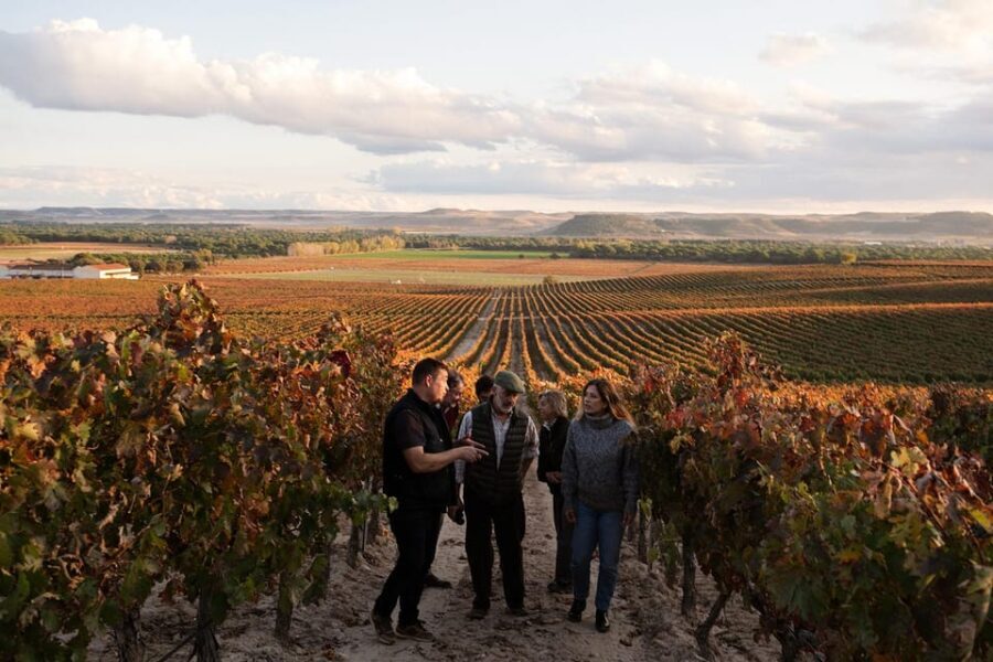 Ribera del Duero: Experience, vineyard and 4x4 mountain, aperitif and tasting. - The Itinerary Breakdown