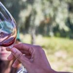Ribera del Duero: Red Wine Discovery Tour with Tastings - An In-Depth Look at the Experience