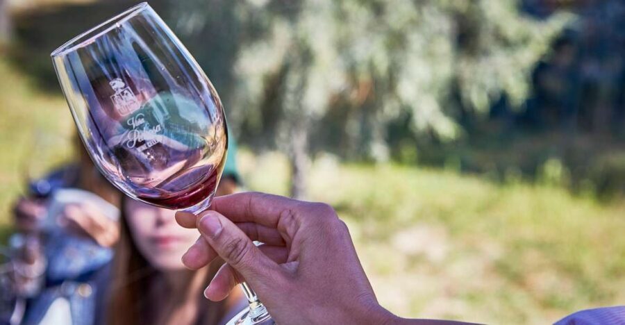 Ribera del Duero: Red Wine Discovery Tour with Tastings - An In-Depth Look at the Experience