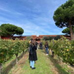 Ribera del Duero Tour: Three Wineries & Lunch from Madrid - The Value of a Guided Wine Tour