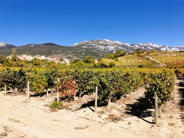 Ribera del Duero wine region private tour - The Itinerary: A Day of Discovery