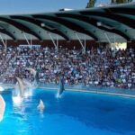 Riccione: Oltremare Park Entrance Ticket - A Deep Dive into the Experience