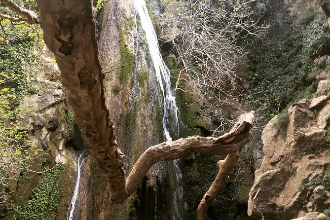 Richtis Waterfall, History, Azoria, OliveTasting, NorthCoast - Key Points